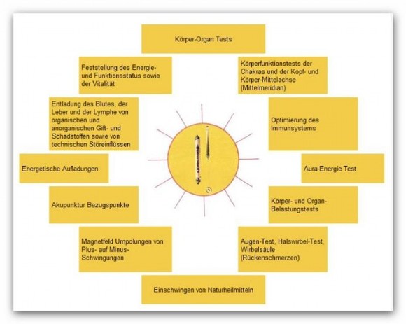 Bioenergetik | Peter Biringer